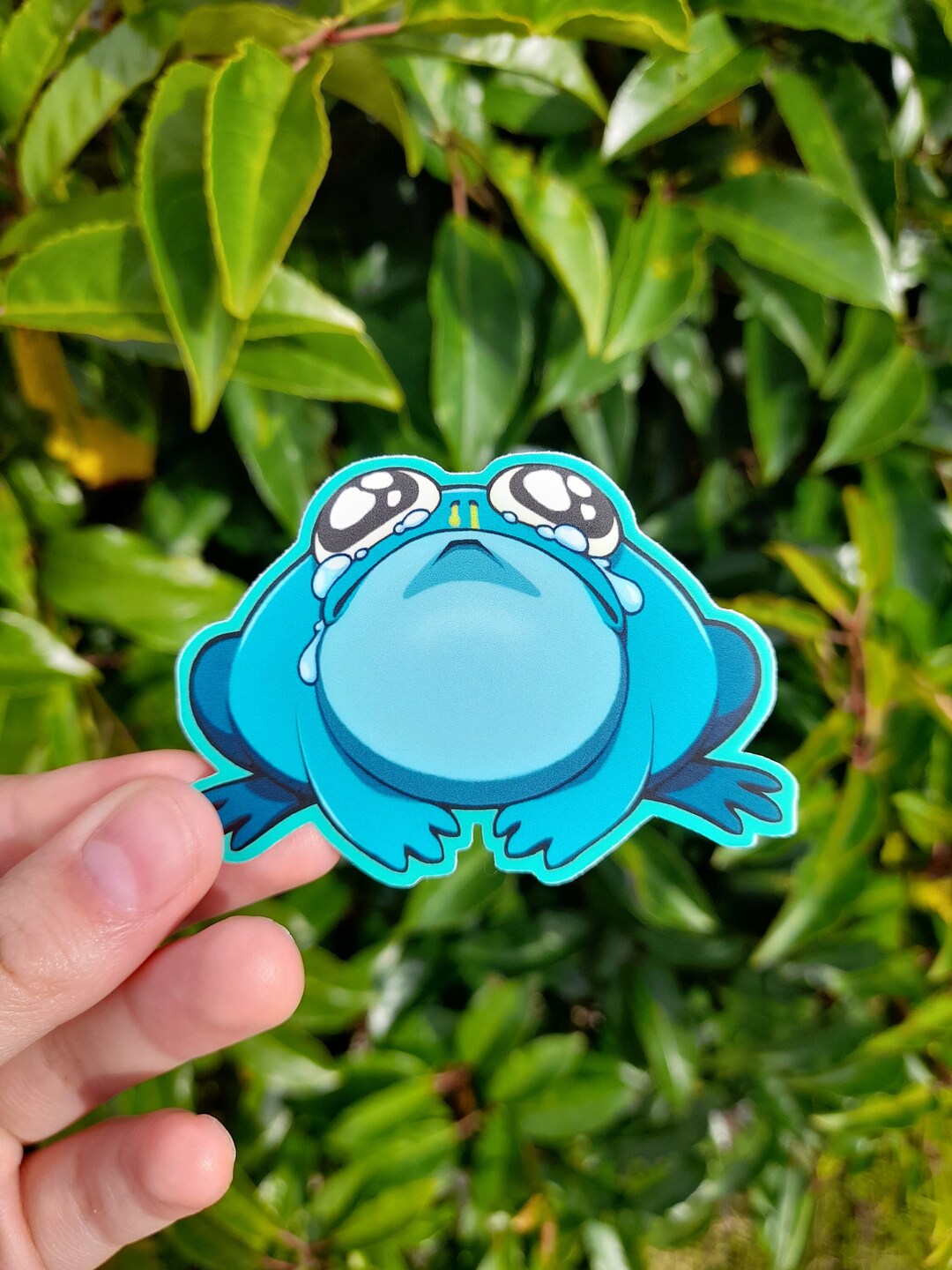 Crying Frog 3" Die-cut Vinyl Sticker - Etsy