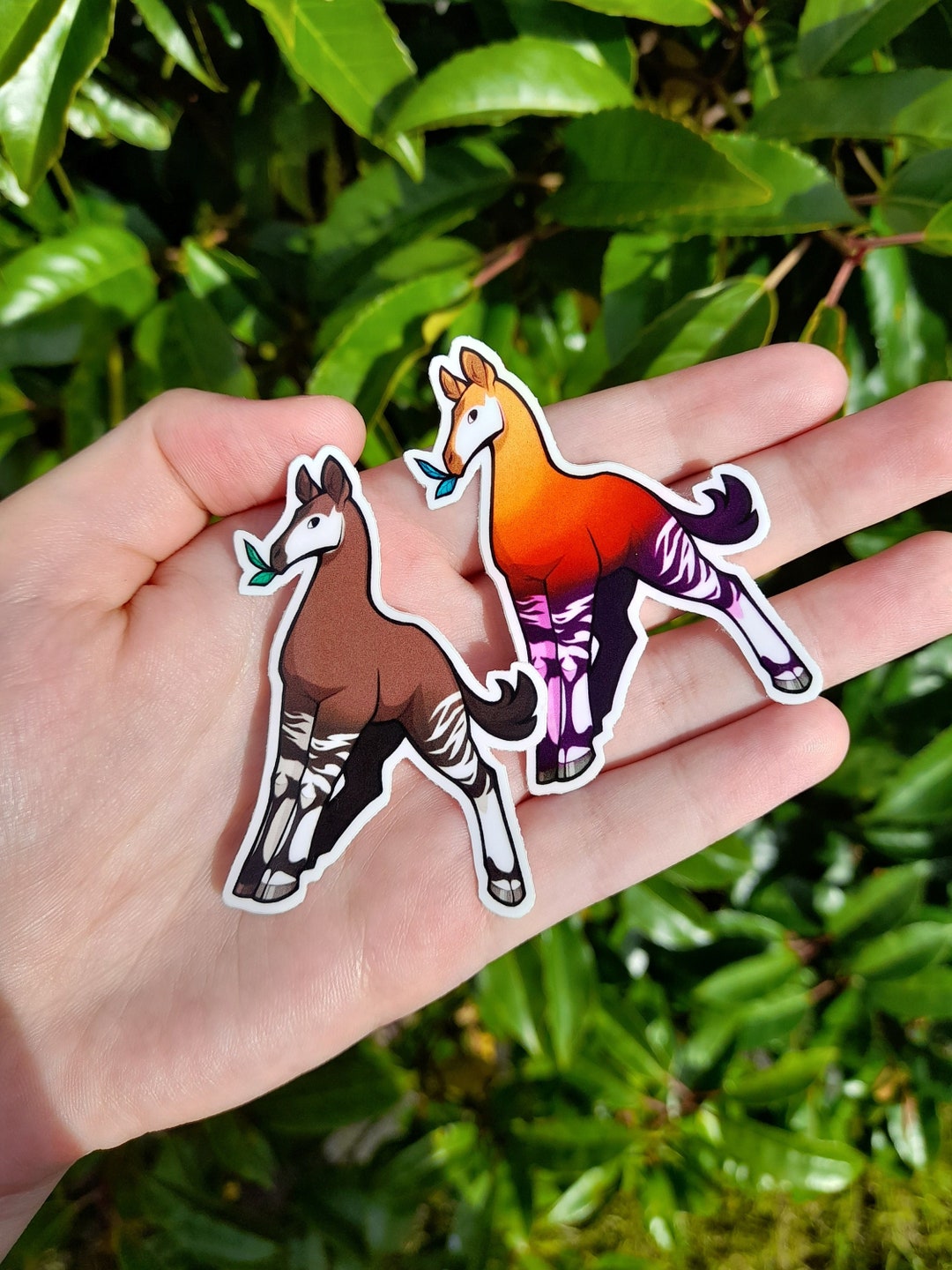 Okapi 2 Die-cut Vinyl Sticker - Etsy