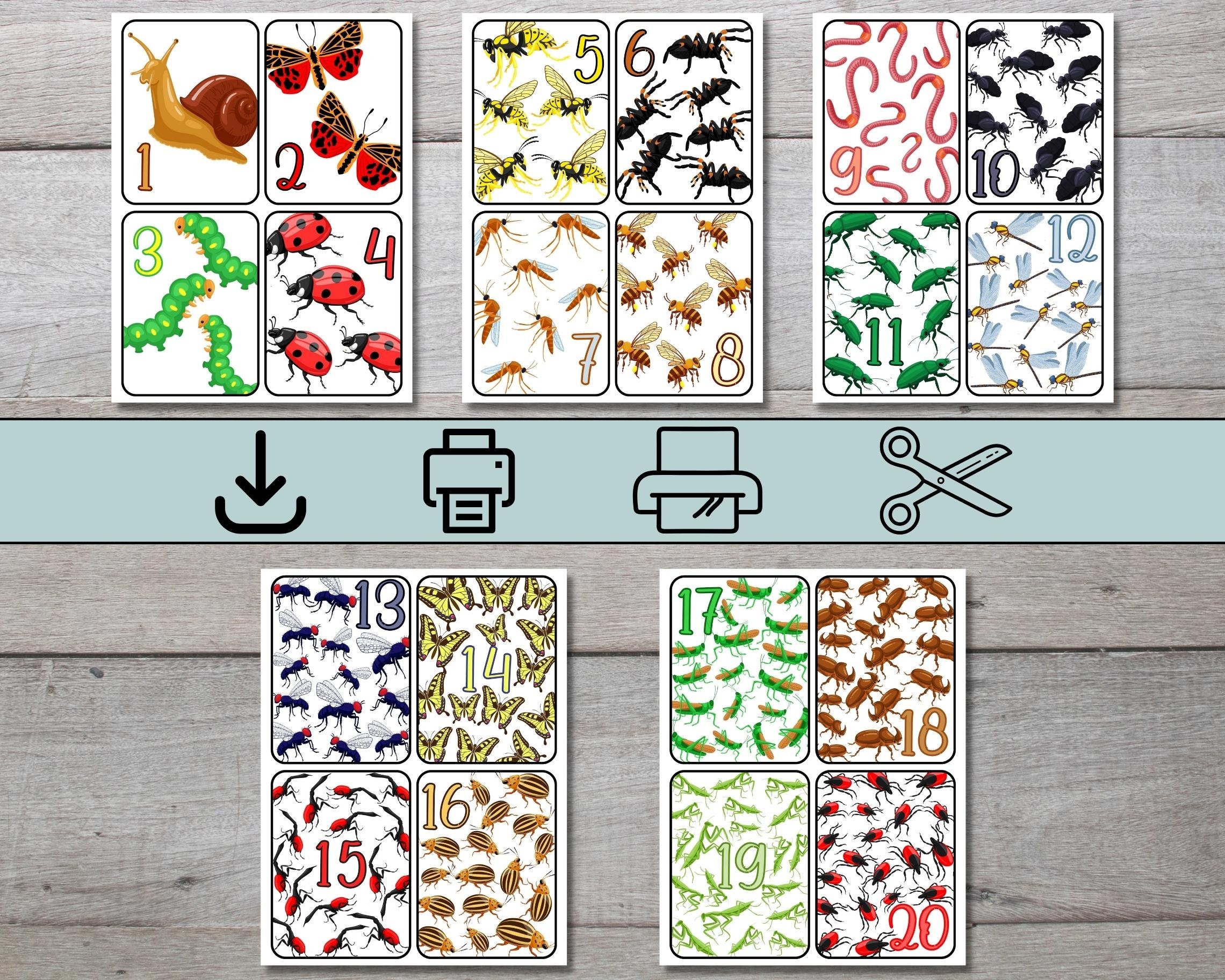 Insect Number Flashcards: Montessori Homeschool Printable (digital ...