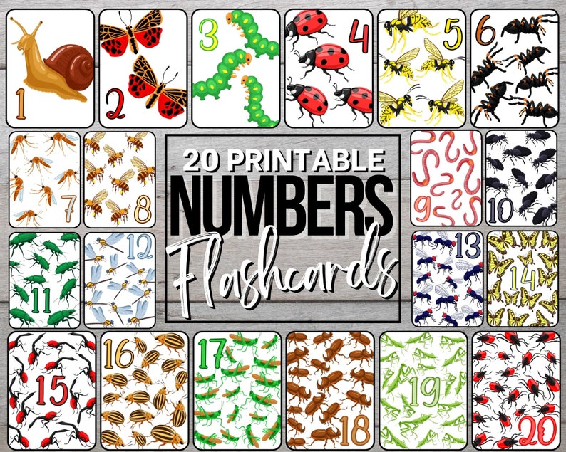 Number Flash Cards Montessori Printable Flashcards - Etsy