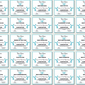 Cheer Awards Certificate Template: Editable Cheerleading Team Gifts ...