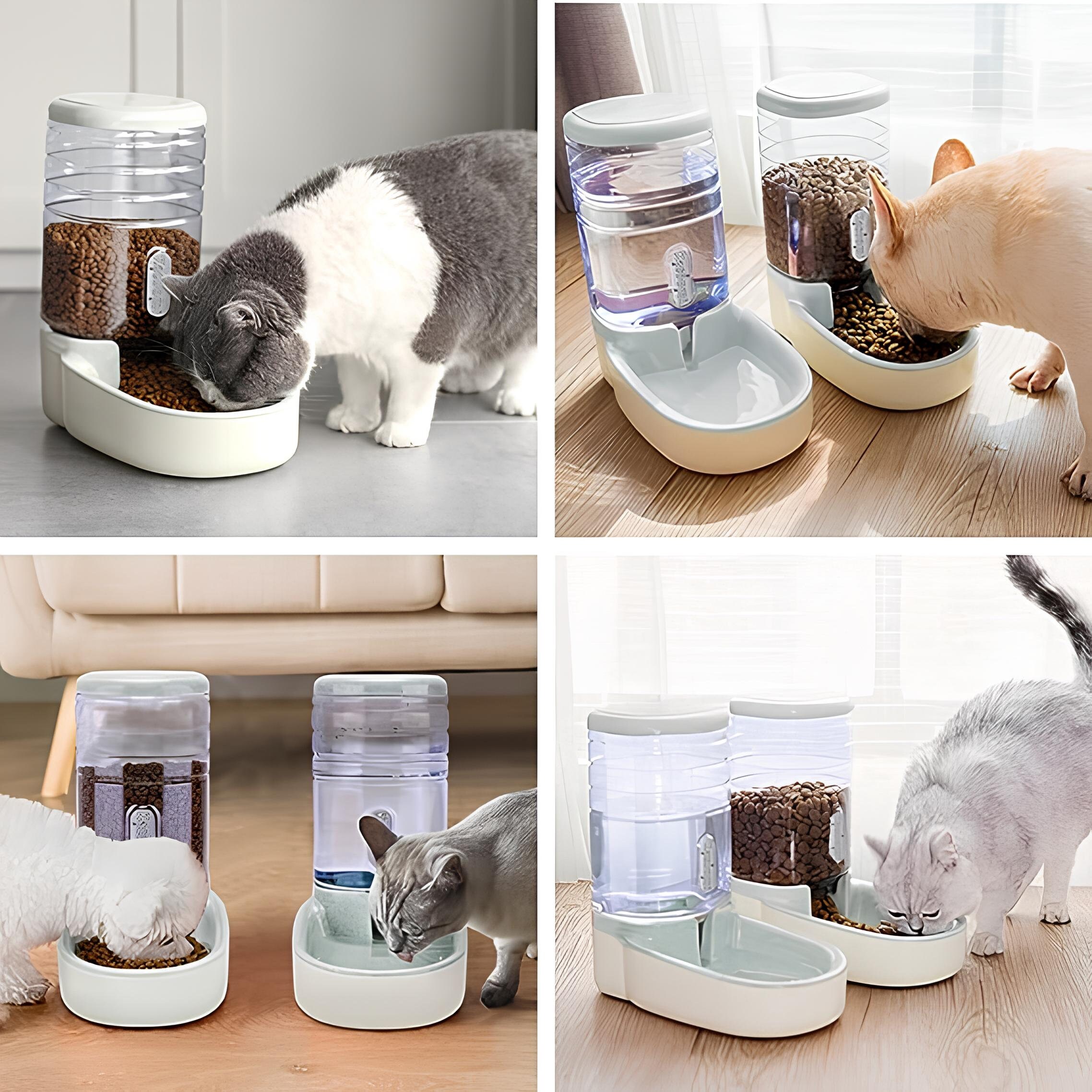 Modern Cat Bowl Stand for Cat Food Bowl Food Tray for Kitten Bowl Cat ...