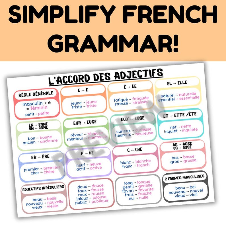 French Grammar Adjective Agreement and Placement Poster Chart Les ...