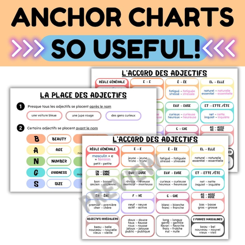French Grammar Adjective Agreement and Placement Poster Chart Les ...
