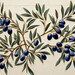 Olive Branch Ceramic Tile - Etsy