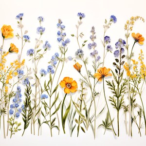 Field Flowers Backsplash, Ceramic Decorative Tiles, Floral Tiles. - Etsy