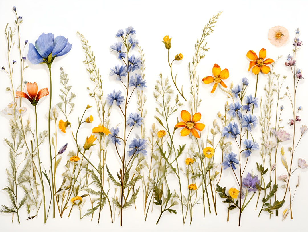 Field Flowers Backsplash, Ceramic Decorative Tiles, Floral Tiles. - Etsy