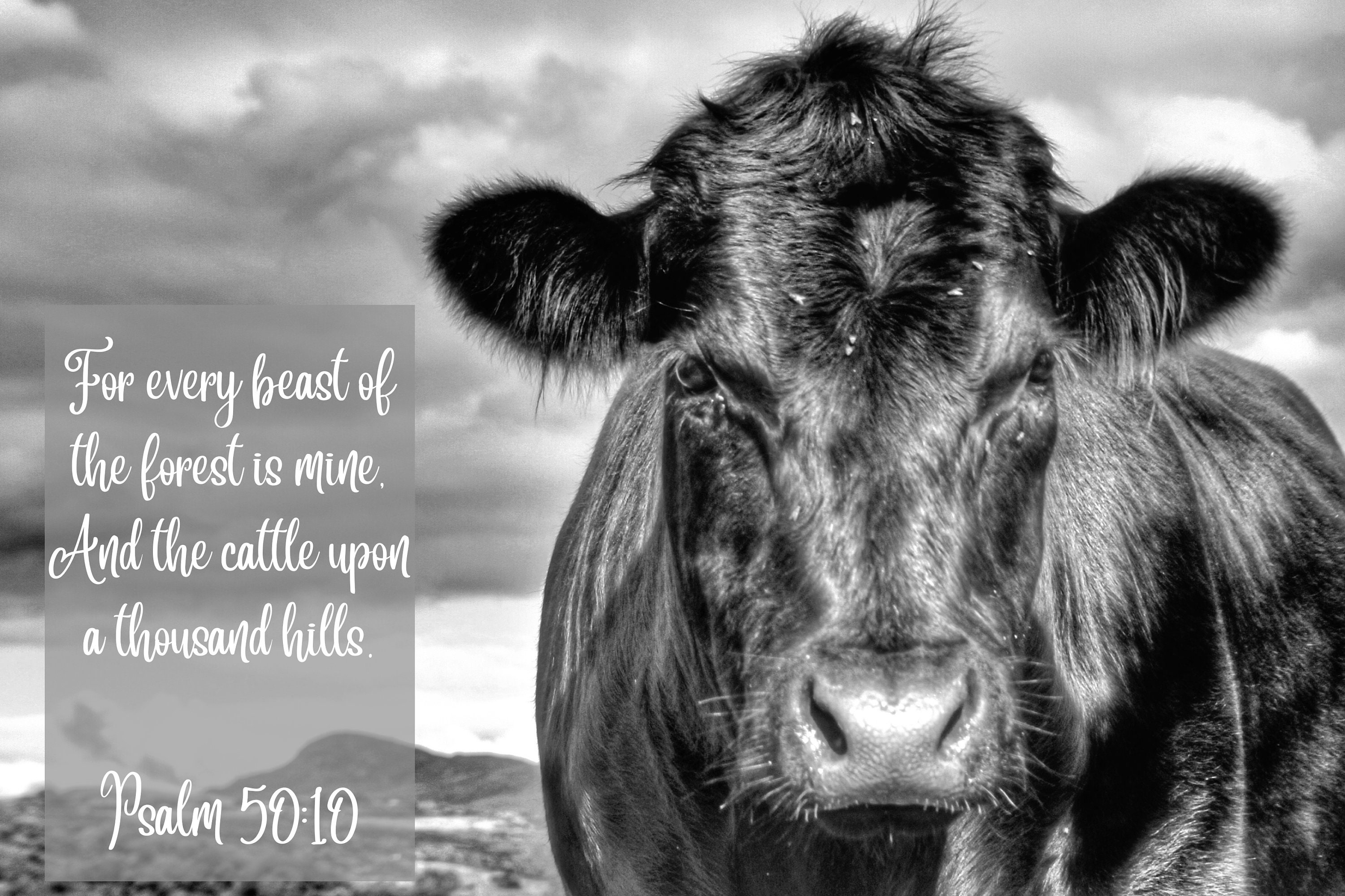 Cow Print for Farmhouse Wall Decor Bible Verse Scripture Printable ...