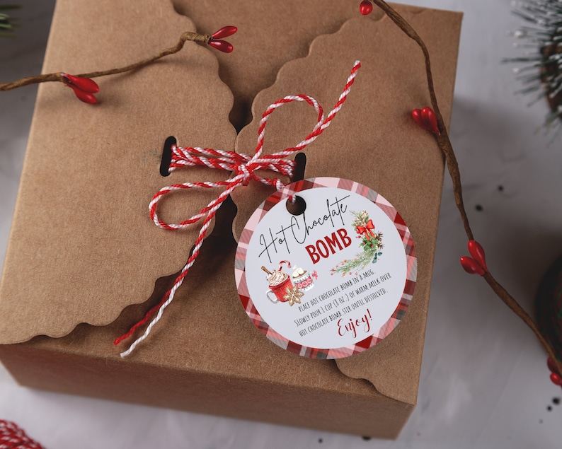 Printable Hot Chocolate Bomb Tag With Instructions Christmas Tag for ...