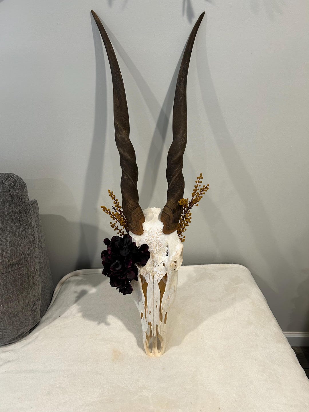 Eland Skull - Etsy