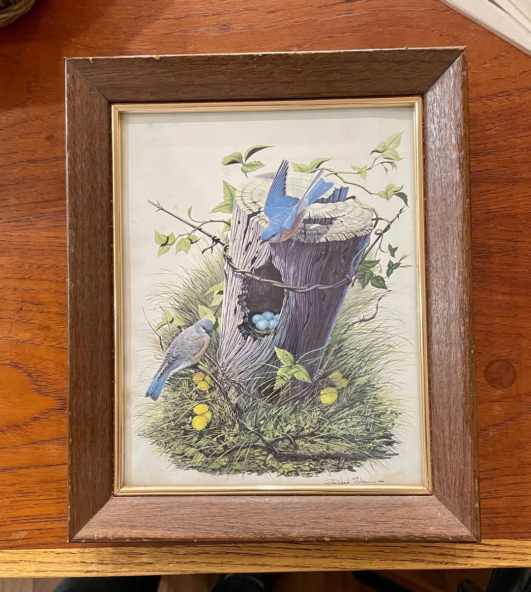 Vintage 1968 Richard Sloan Bluebirds Framed Giclee Print - Etsy