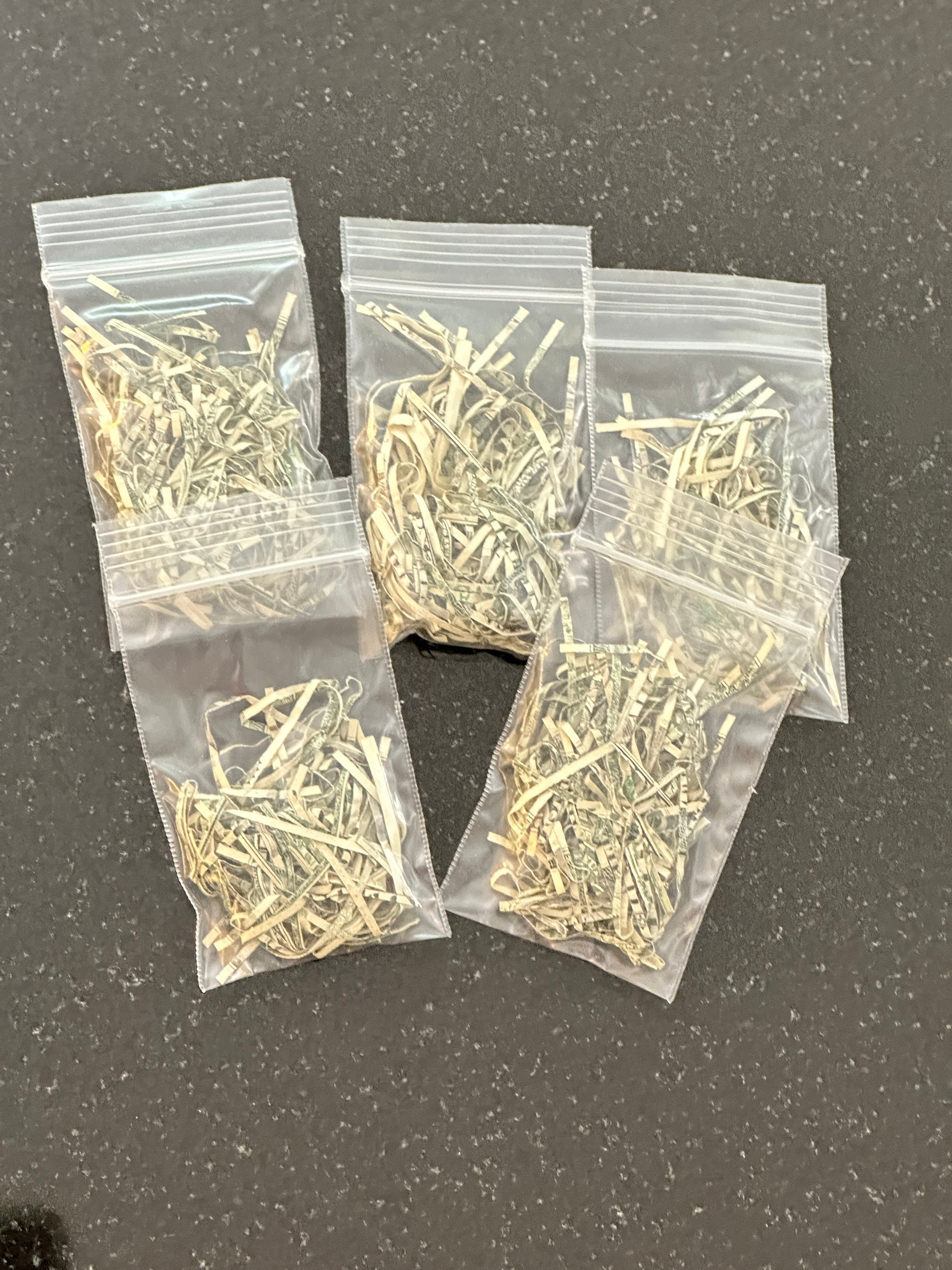 Shredded Money US Cash Currency - Etsy