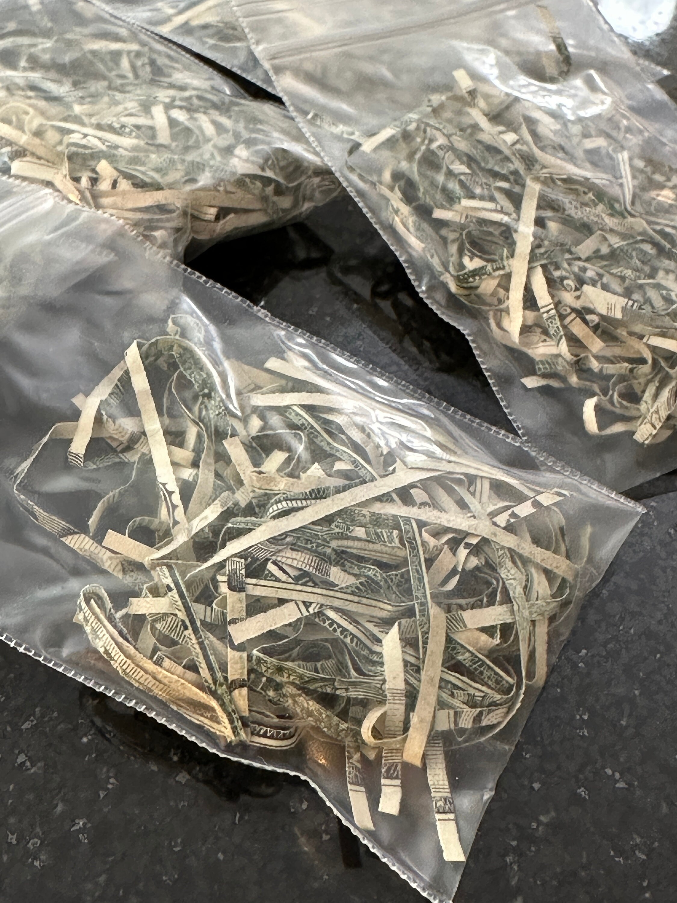 Shredded Money US Cash Currency - Etsy