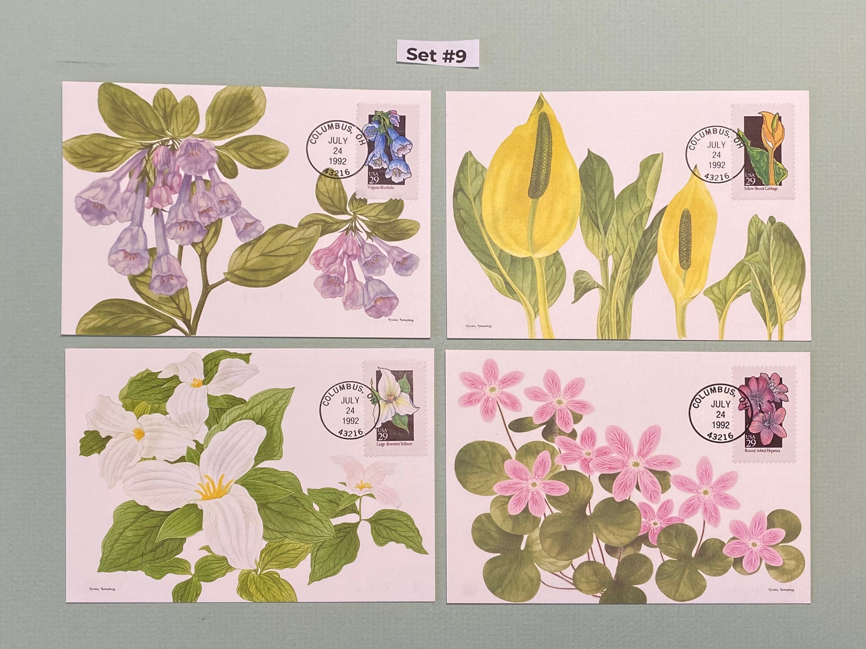 Wildflowers of 50 States Maximum Postal Cards With Stamps Choose Set of ...