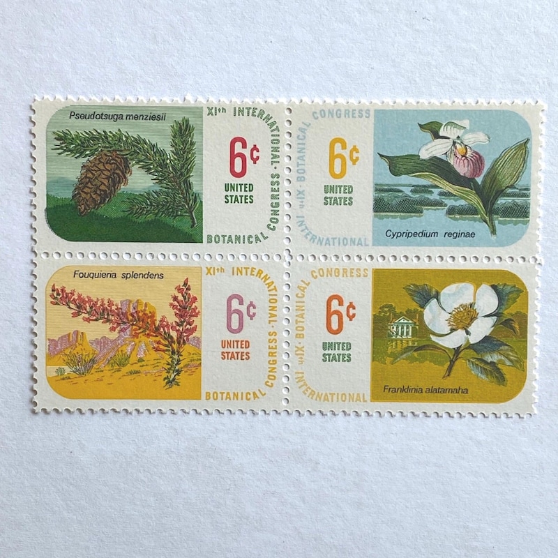 Botanical Stamp - Etsy