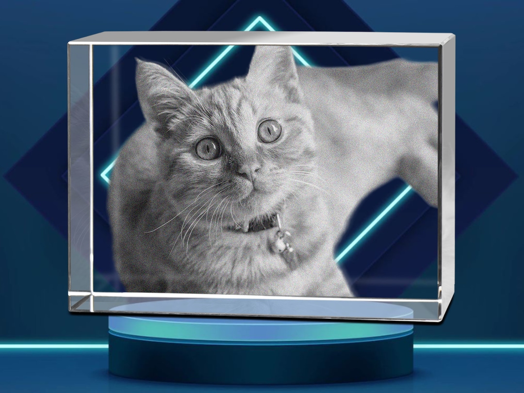 Pet Memorial Gift With LED Rotating Base, Laser Etched Pet Photo, Cat ...