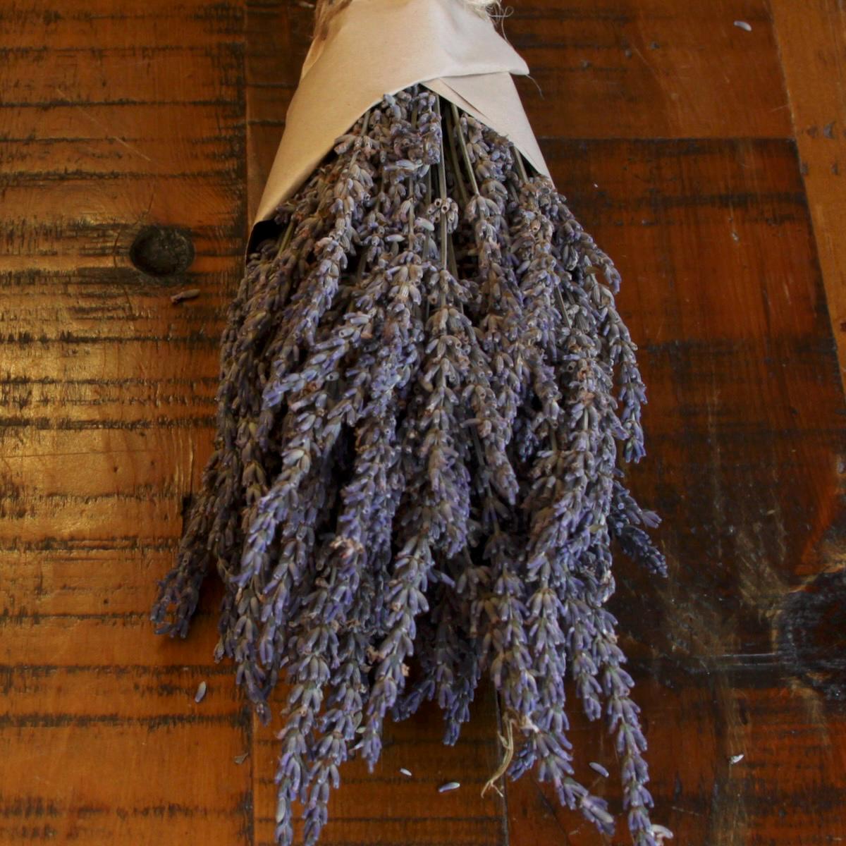 Dried Lavender Bunch - Etsy Australia