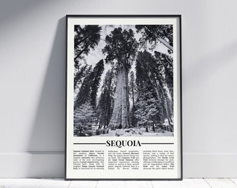 Sequoia Travel Poster, California Wall Art, California Print, Sequoia ...