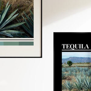 Tequila Poster, Jalisco Print, Jalisco Art, Tequila Travel Poster ...