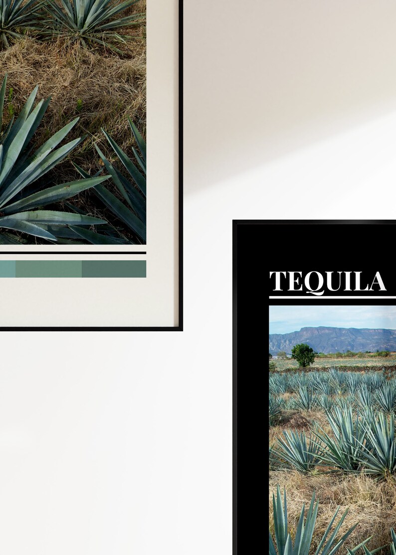 Tequila Poster, Jalisco Print, Jalisco Art, Tequila Travel Poster ...