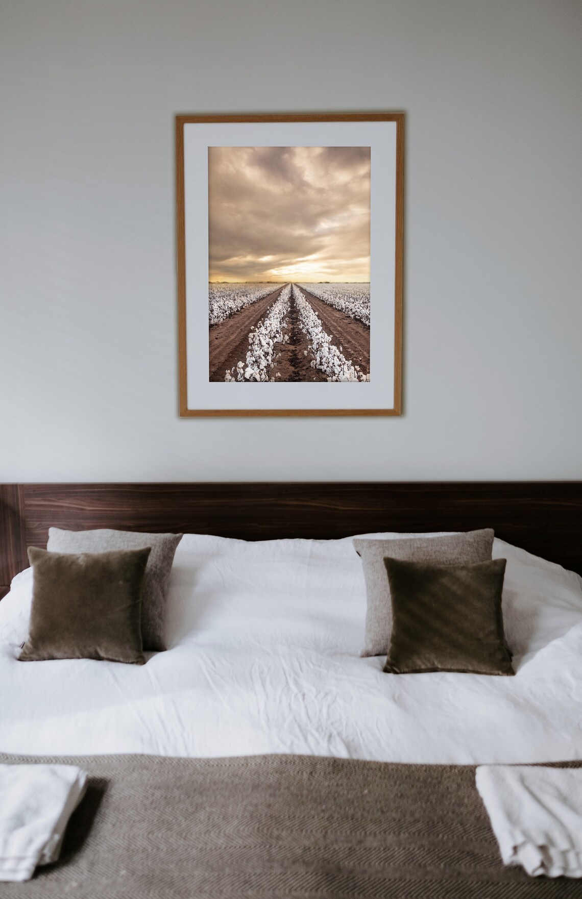 Cotton Rows for Digital Download - Etsy