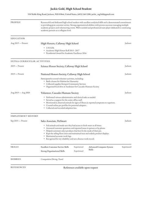 Resume Template and Selection Criteria - Etsy