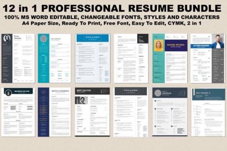 Resume Template and Selection Criteria - Etsy