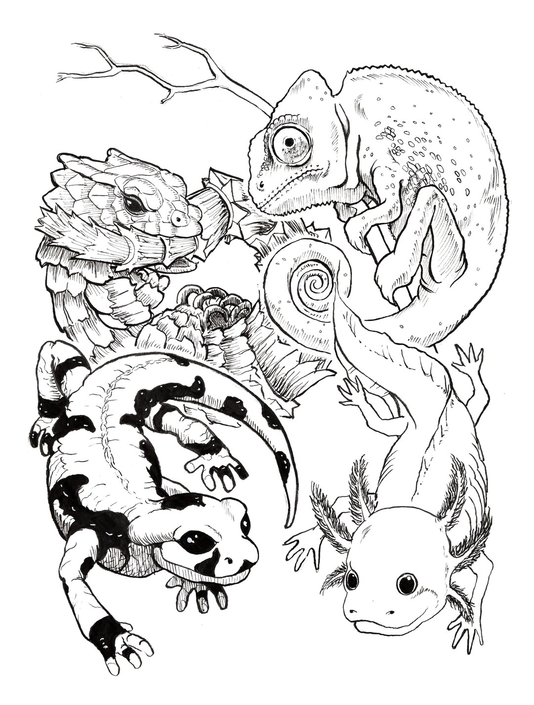 Limited Edition Print lizards - Etsy