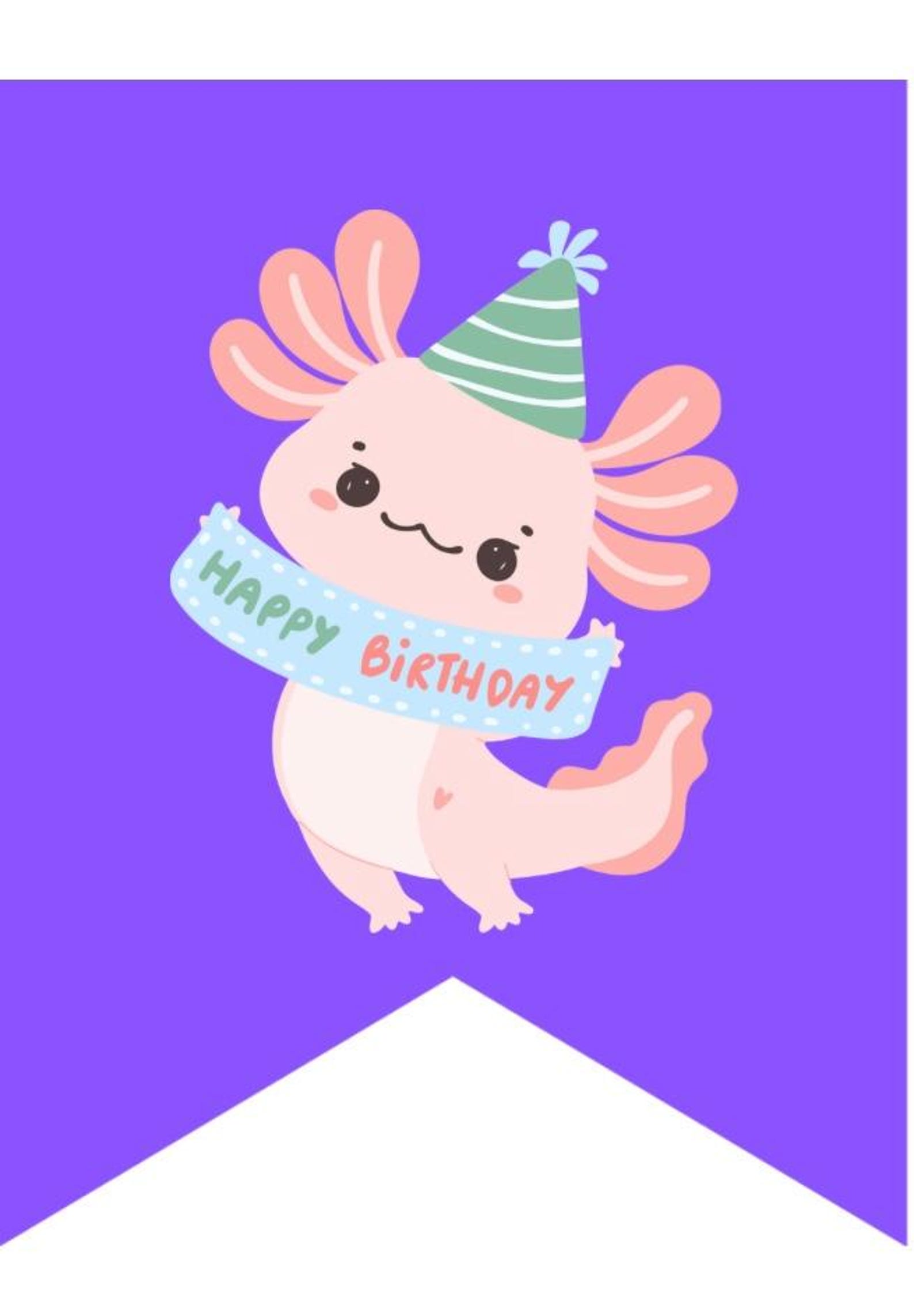 Axolotl Birthday Invitation and Decorations - Etsy