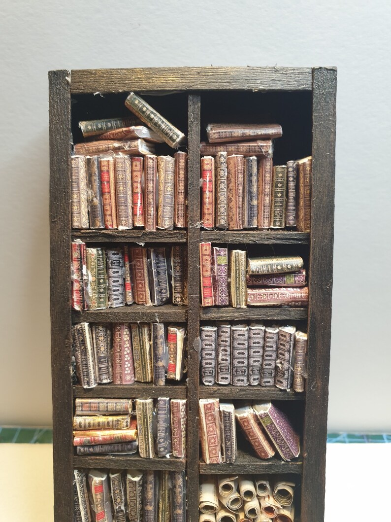 Miniature Bookshelf Diorama Dnd Dollhouse Haunted - Etsy