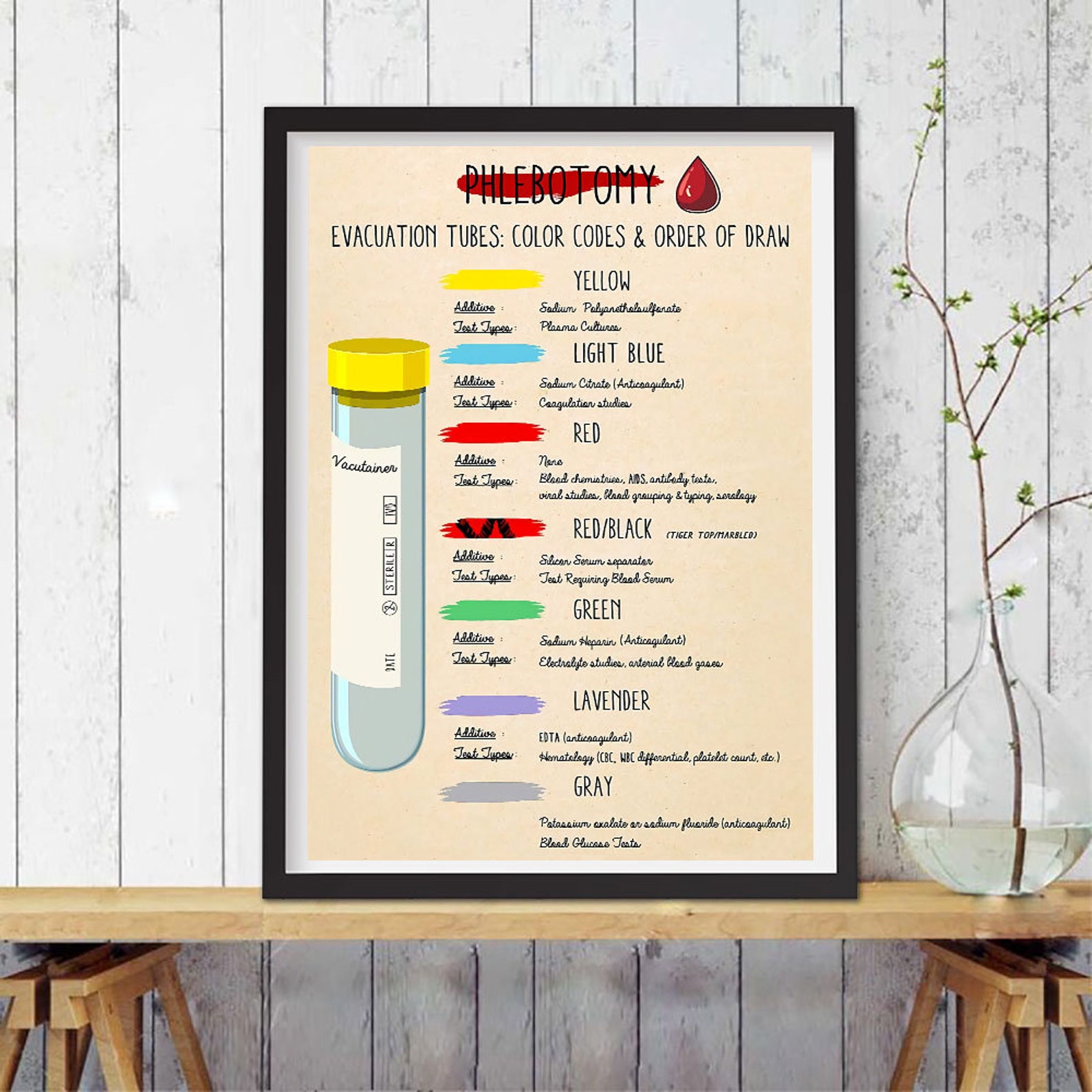Phlebotomy Knowledge Poster, Phlebotomy Wall Art Evacuation Tube Color ...