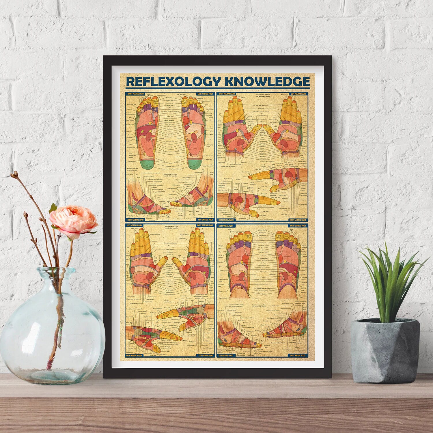 Meridian Chart Poster Foot Anatomy Medicine Wall Art Knowledge ...