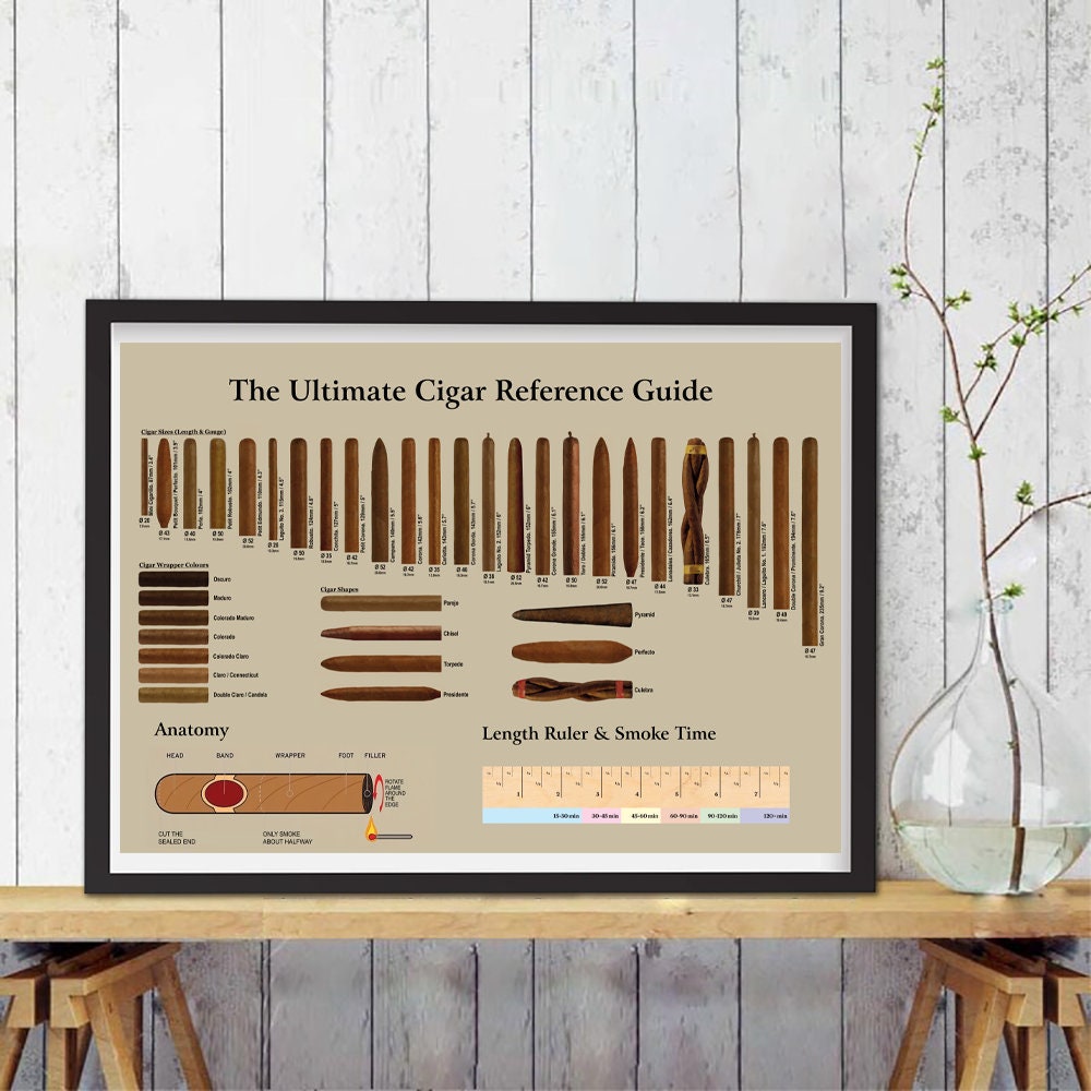 Cigar Poster Smoking Cigars Knowledge Poster Havana Tobacco & Cigar ...