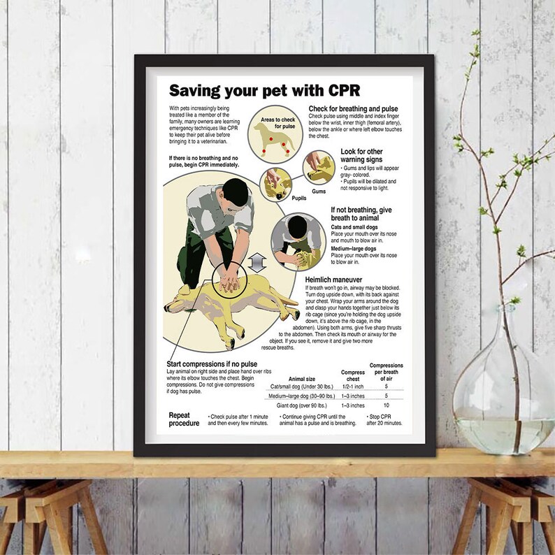 Saving Your Pup or Pet With CPR Cardiopulmonary Resuscitation Poster ...
