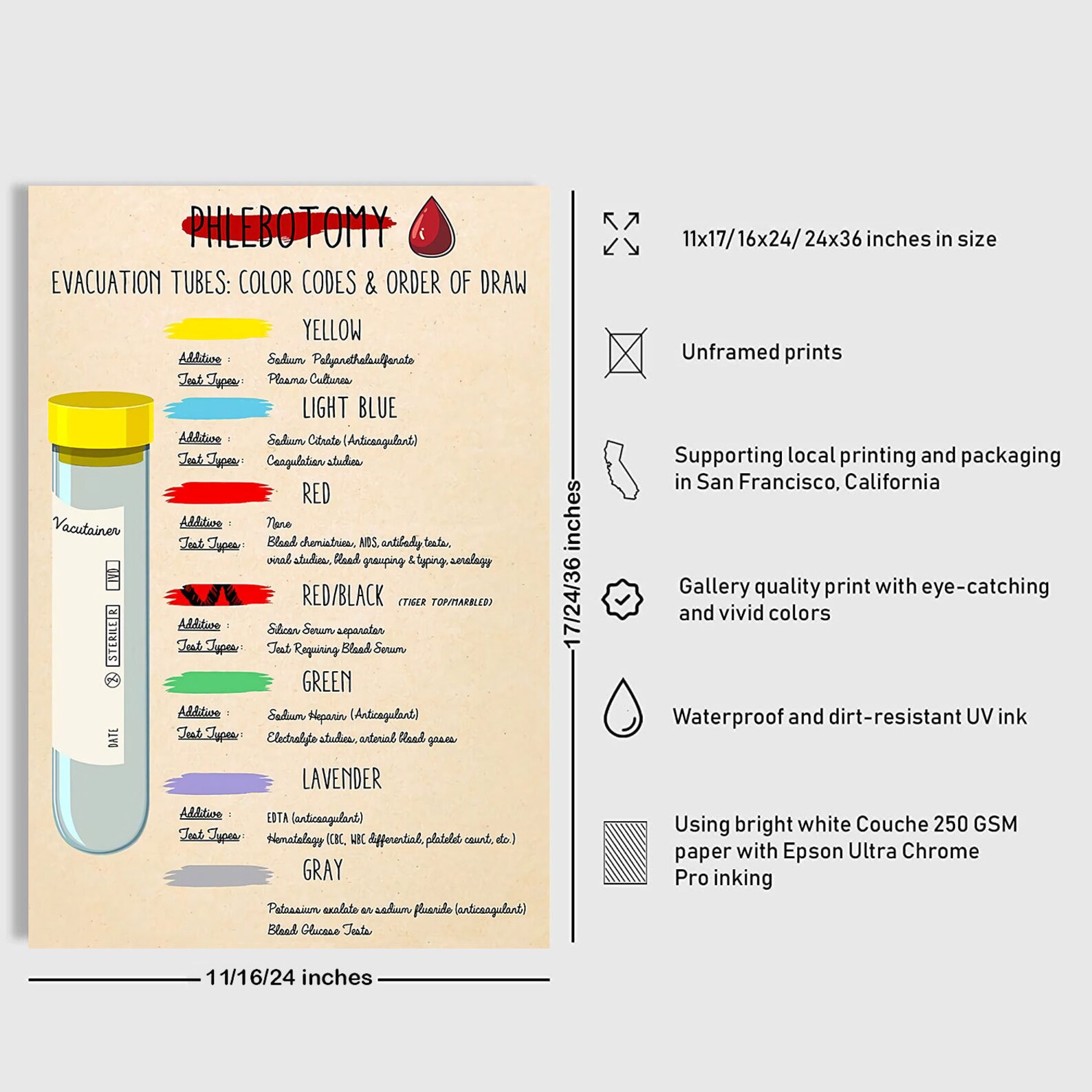 Phlebotomy Knowledge Poster, Phlebotomy Wall Art Evacuation Tube Color ...