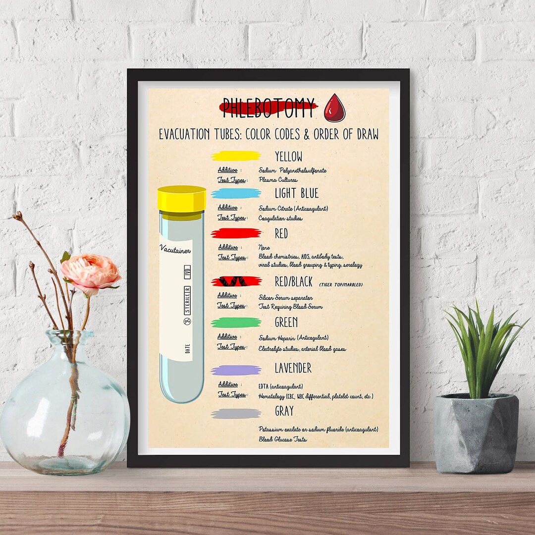 Phlebotomy Knowledge Poster, Phlebotomy Wall Art Evacuation Tube Color ...