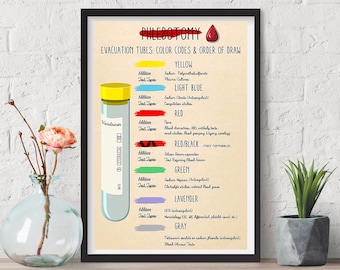 Phlebotomy Order of Draw Using BD Microtainer Tubes - Etsy
