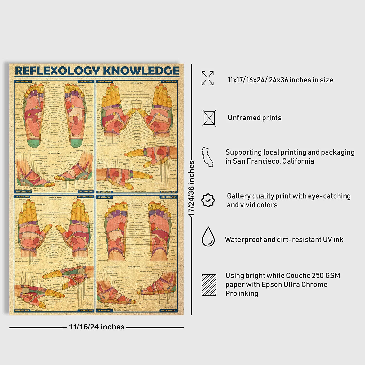 Meridian Chart Poster Foot Anatomy Medicine Wall Art Knowledge ...