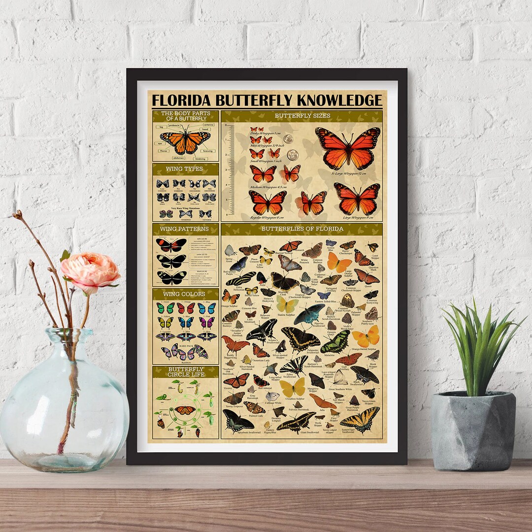 Florida Butterfly Knowledge Poster, Circle Life Educational Science ...