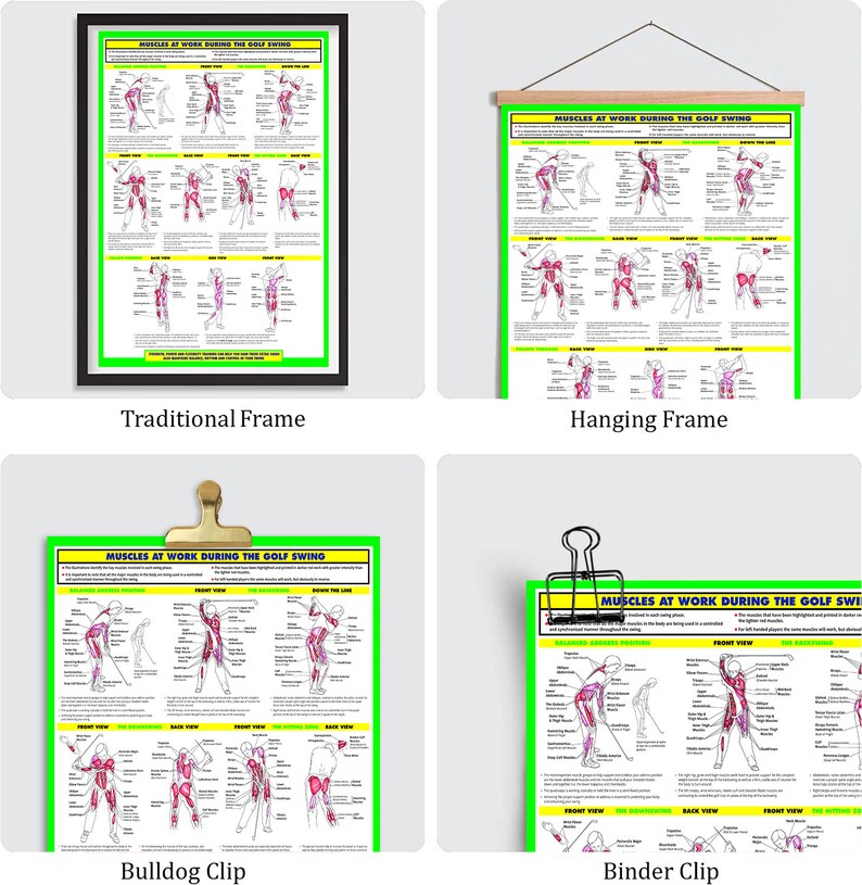Muscles at Work During the Golf Swing Poster, Golfer Knowledge Poster ...