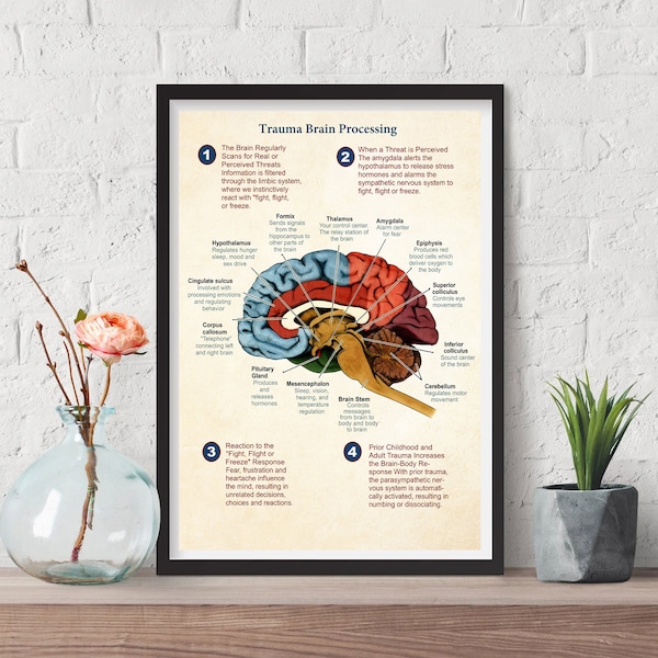 Brain Poster - Etsy