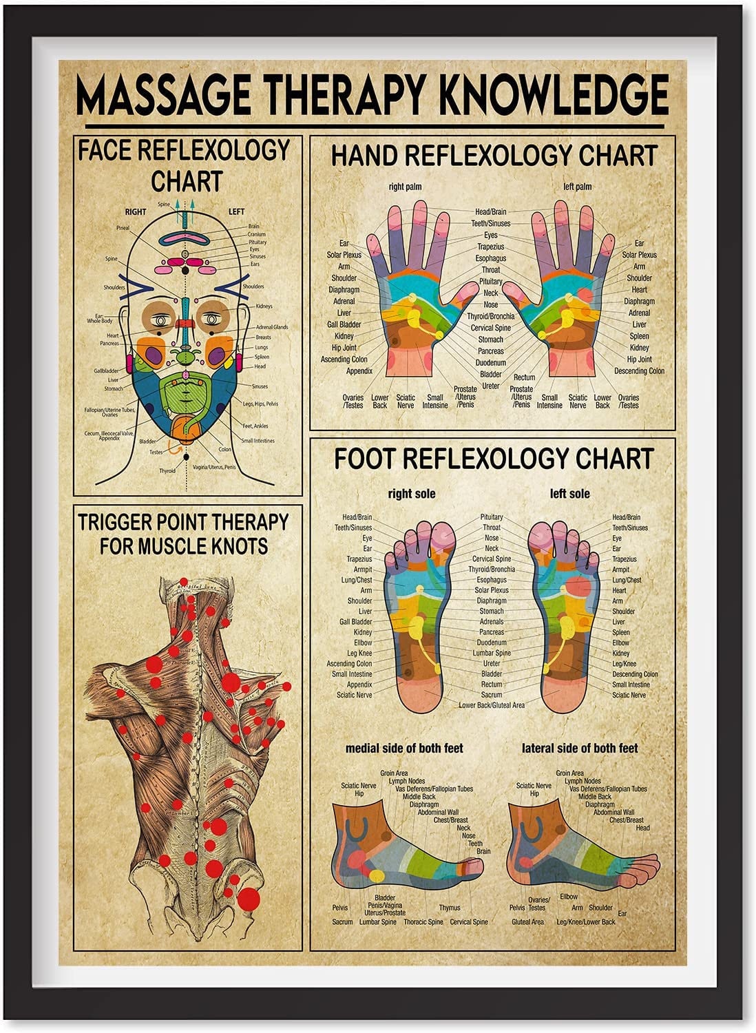 Massage Therapy Knowledge Reflexology Chart, Reflexology Poster ...