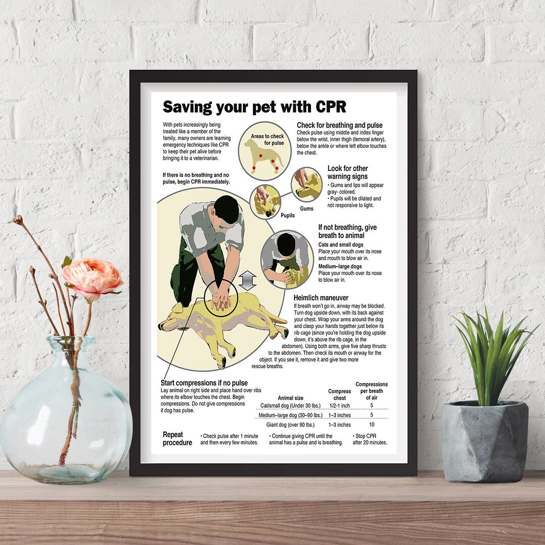 Saving Your Pup or Pet With CPR Cardiopulmonary Resuscitation Poster ...