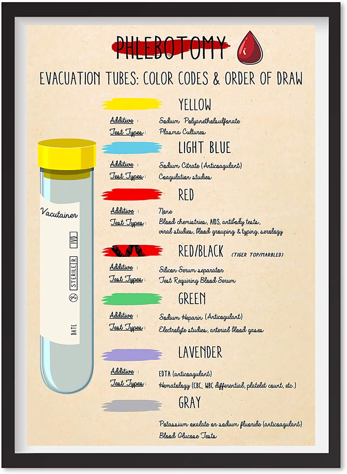Phlebotomy Knowledge Poster Phlebotomy Wall Art Evacuation - Etsy