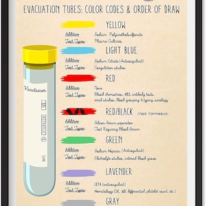 Phlebotomy Knowledge Poster, Phlebotomy Wall Art Evacuation Tube Color ...