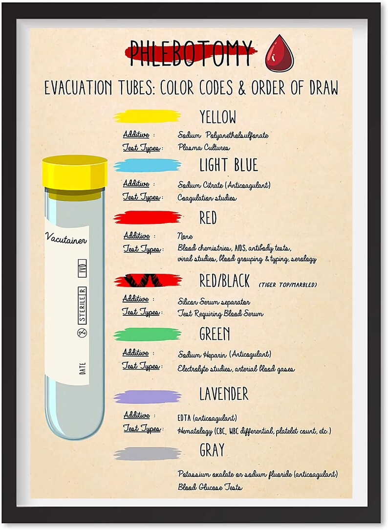 Phlebotomy Knowledge Poster Phlebotomy Wall Art Evacuation - Etsy