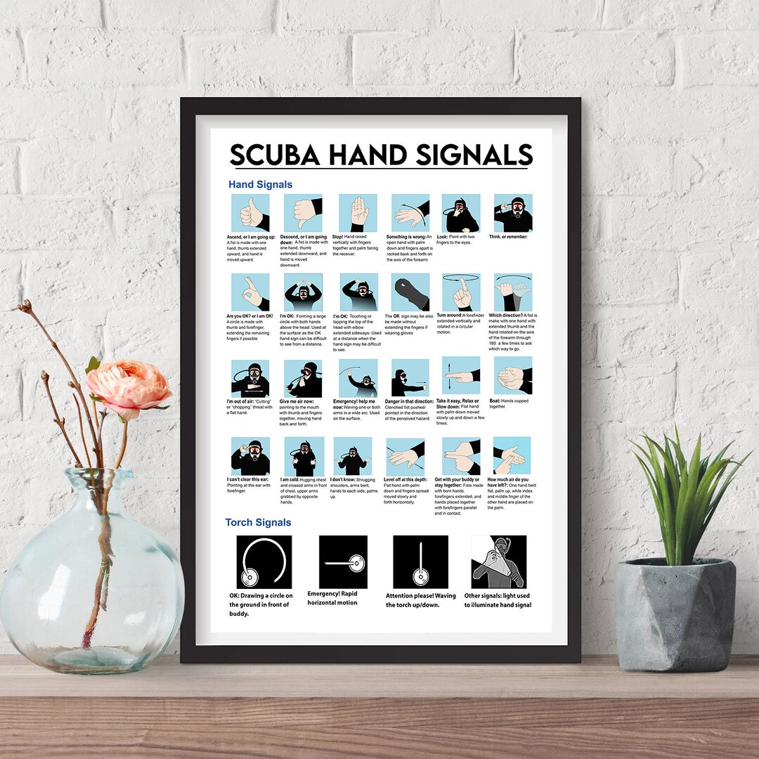 Scuba Diver Knowledge Metal Signs Scuba Hand Signals Club Decoration ...