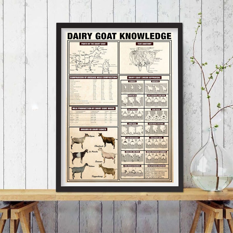 Dairy Goat Knowledge Poster, Shepherds Posters, Study Guide Plaques ...