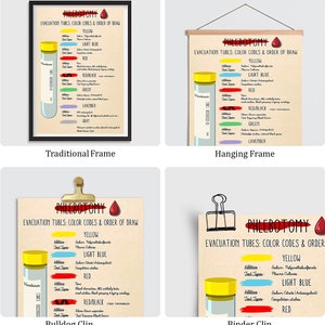 Phlebotomy Knowledge Poster, Phlebotomy Wall Art Evacuation Tube Color ...