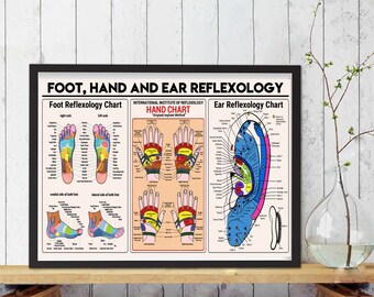 Massage Therapist Foot Reflexology Chart 1 Poster, Vintage Poster - Etsy Canada